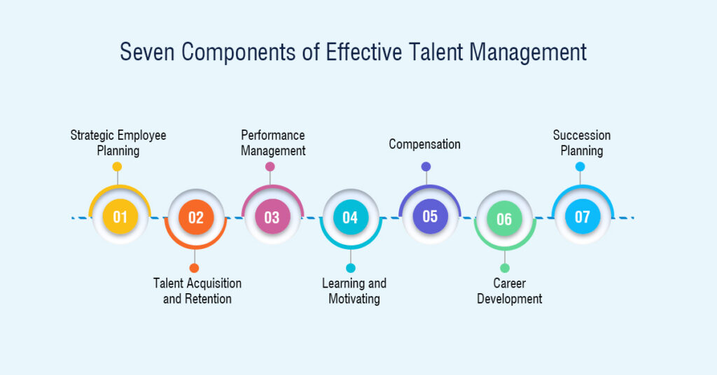 Talent Development Program: Potential Across Organization